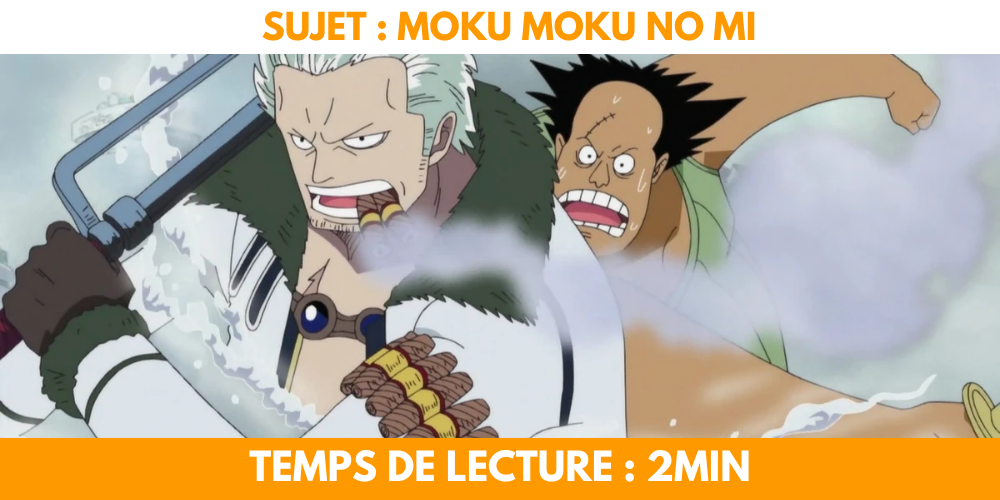 Moku Moku no Mi : Découverte du Fruit du Démon One Piece – Artpixe